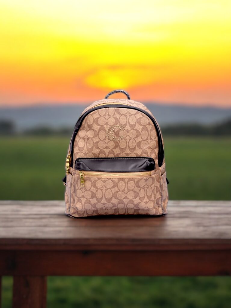International Bags Brands in Pakistan – Stylish & Affordable | Inspires